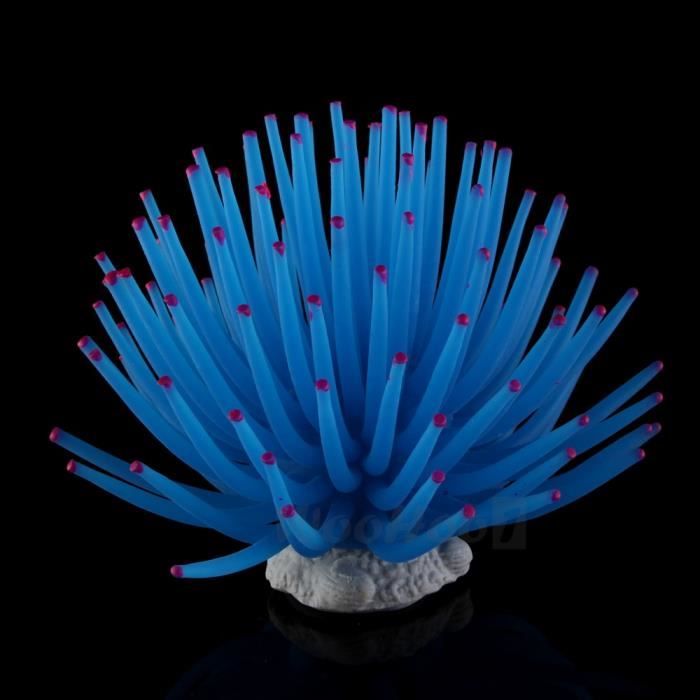 Corail Artificiel Bleu 9cm En Plastique Décorat… - Cdiscount Animalerie