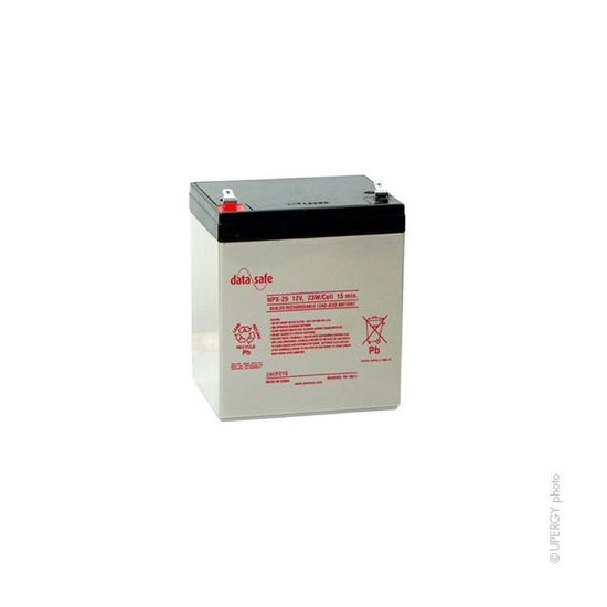 Batterie onduleur (UPS) DataSafe NPX25-12 12V 5Ah F6.35-Enersys ...