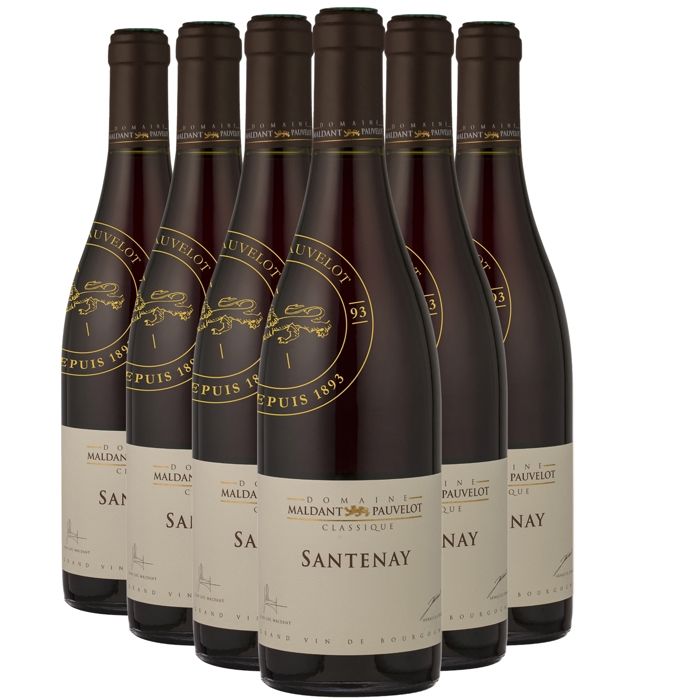 Domaine Maldant-Pauvelot Santenay 2020 - Vin Rouge de Bourgogne (6x75cl ...