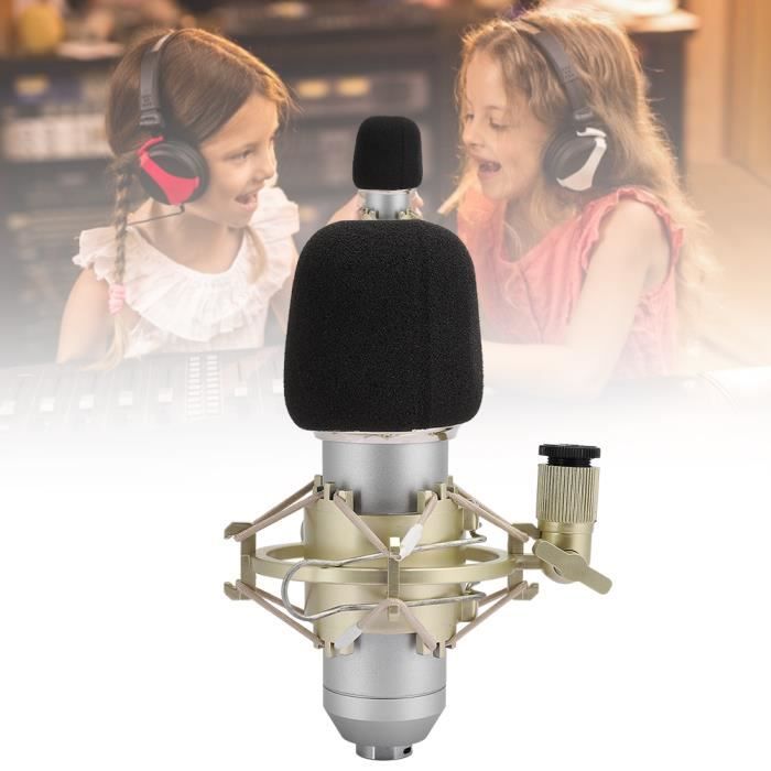 Microphone à condensateur pour ordinateur, micro omnidirectionnel Plug ...