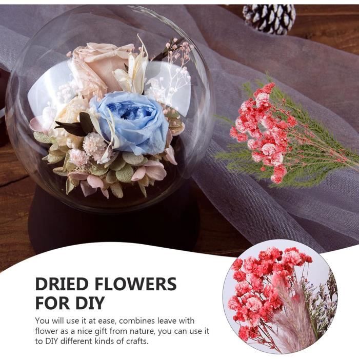 3 Ensembles Fleur Stabilisée Séchée Faire Des Fleurs En Résine Bijoux En Résine Fleur Séchée ...