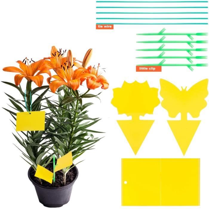 30pcs Pièges à Insectes Pièges Engluées Autocollants Colle Double-Face ...