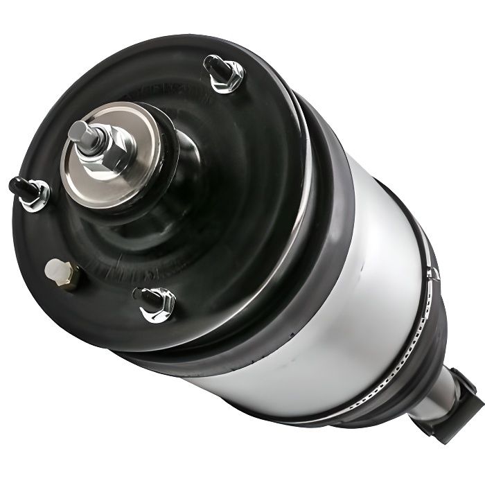 For Arrière Range Rover Sport L320 Suspensions pneumatiques amortisseur ...