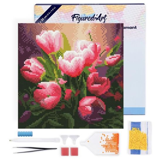 Figured’Art Mini Diamond Painting Broderie Diamant 25x25cm toile tendue ...