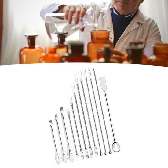 Cuillère de laboratoire Spatule de Laboratoire, Cuillère à Réactif avec ...