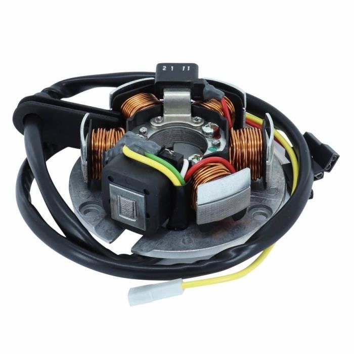Stator Allumage 50 A Boite Adaptable Moteur Minarelli 50 Am345 Am6 Sans