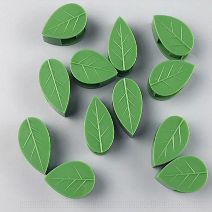 Tuteur Plante - Green - Fixation Murale Invisible - Support en Rotin ...