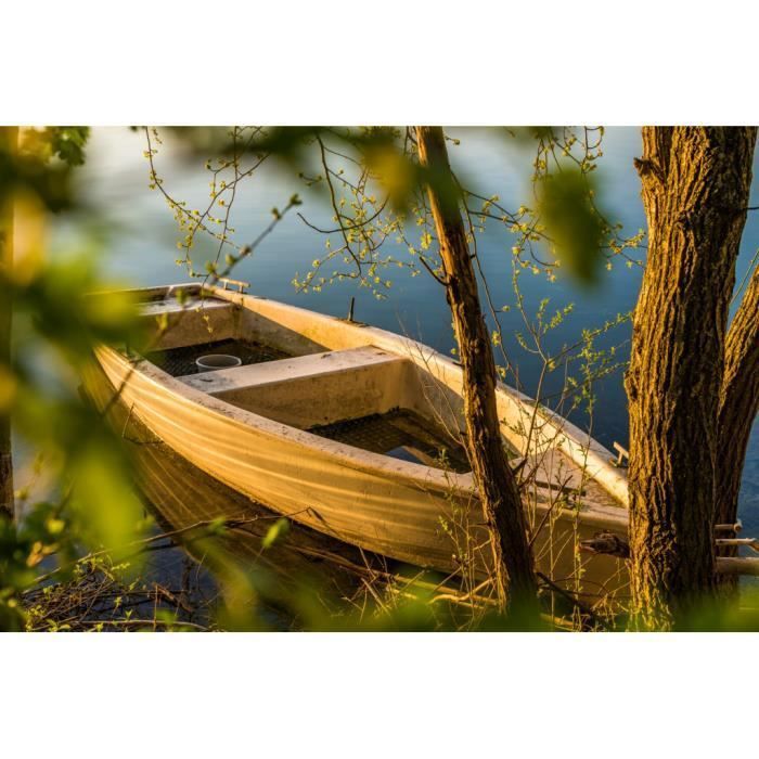 Poster Affiche Barque en Bois sur un Lac au Printemps Paysage de Nature ...
