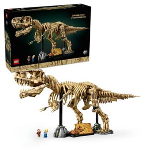 LEGO 40820 - Cdiscount