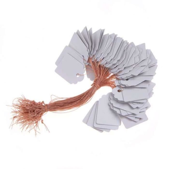 WE03785-Étiquettes de pépinière en plastique de type T. 100 pièces ...