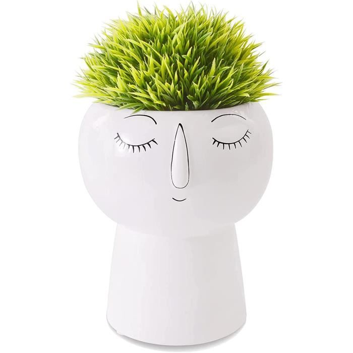 Visage Pot De Fleur Tête Cache-Pot Jardinière,Mignon Visage Pot De ...