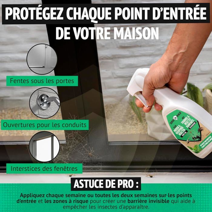 Spray Anti-Fourmis, Araignées, Poissons d'Argent et Anti-Cafards 500 ml ...