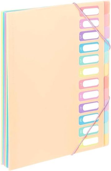 Trieur Document A4 - CHICHENG - Rainbow Pastel - 12 Compartiments ...