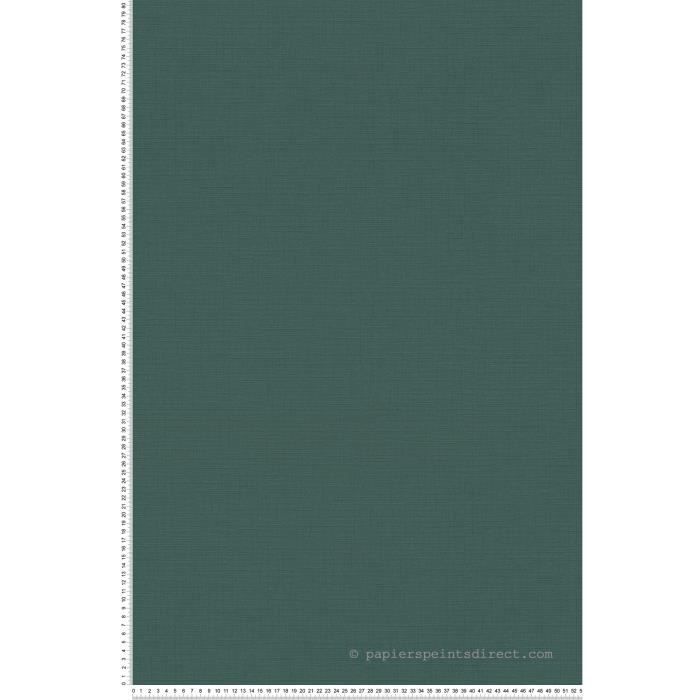 Papier peint Pintwalls 2 - AS-390984 - Cdiscount Bricolage