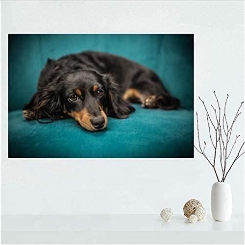 Affiche de chambre Teckel - Art mural en toile - 50x70cm avec cadre ...
