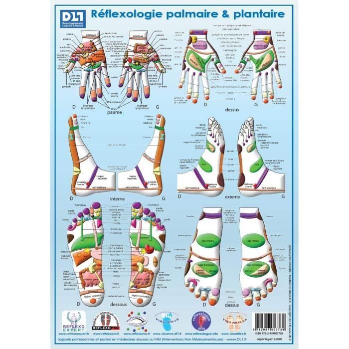 Planche Poster A3 De Réflexologie Plantaire Et Palmaire 42 X 30 Cm