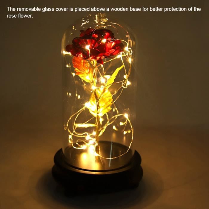 La Rose Eternelle et lumière LED “Belle et la bête ”, meilleur cadeau ... La Rose Eternelle et lumière LED “Belle et la bête ”, meilleur cadeau ...
