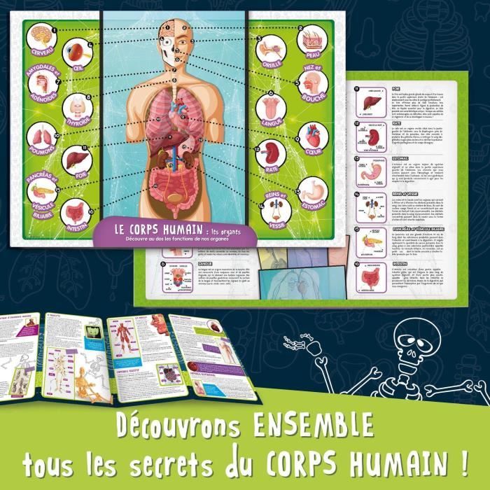 Découverte du corps humain - Kit Scientifique - I'M A GENIUS POCKET ...