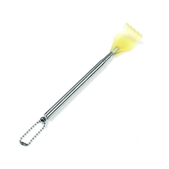 Gratte-dos Extensible Portatif en acier inoxydable, Grattoir pour Le ...