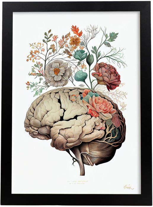 Affiche Anatomique Du Cerveau Illustration Colore De Parties Du Corps ...