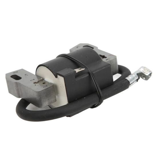 Dilwe 799381 Module de bobine d'allumage de moteur 590454 692605 790817 Performances stables ...