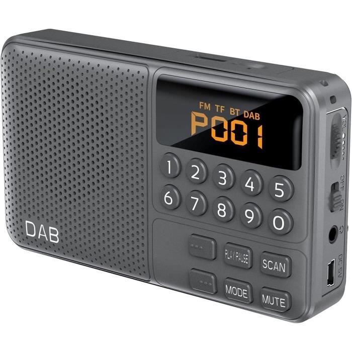 Dab-Dab + Numérique & Fm Radio, Bluetooth Headphone Jack Batterie ...