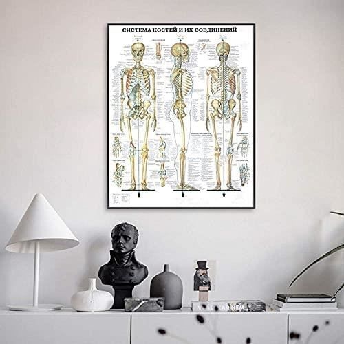 Tableau Murale Anatomie Humaine Murale Art Affiche Squelette Muscle ...