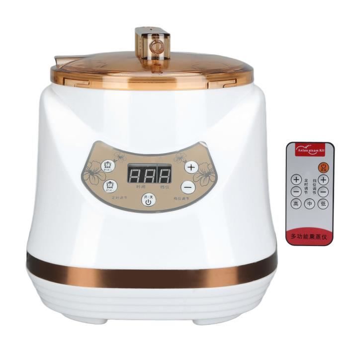 Portable Steamer Sauna Steamer Portable Pot, 1000W Sauna Steamer ...