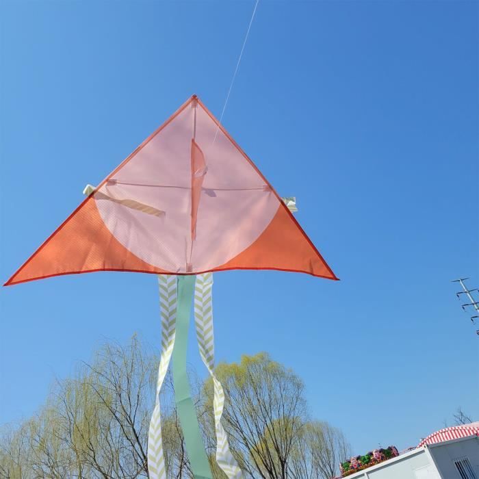 VINGVO cerf-volant triangulaire Cerf-volant de dessin animé Durable et ...