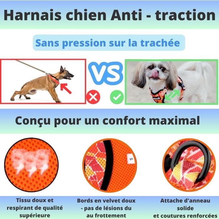 Harnais Et Laisse Pour Chien Chiot Chat Harnai Réglable Chiens De ...