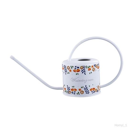 Arrosoir - COLAXI - Design unique - Acier inoxydable - Résistant à la ...