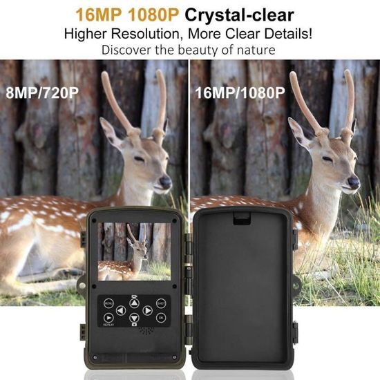 Caméra de chasse 1080p HD 42 IR LEDs infrarouge vision nocturne Caméra ...