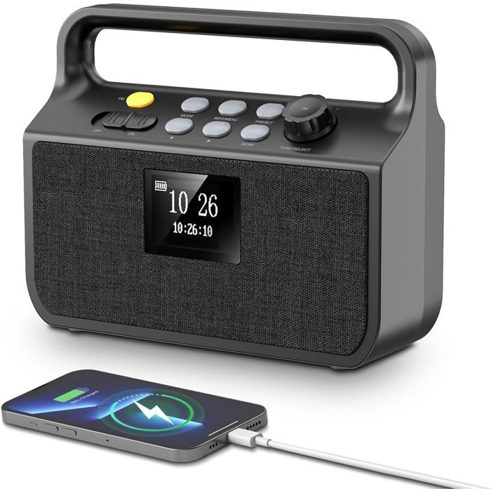 Radio Bluetooth 20000 mAh avec Fonction de Charge de Téléphone, Dab/FM ...