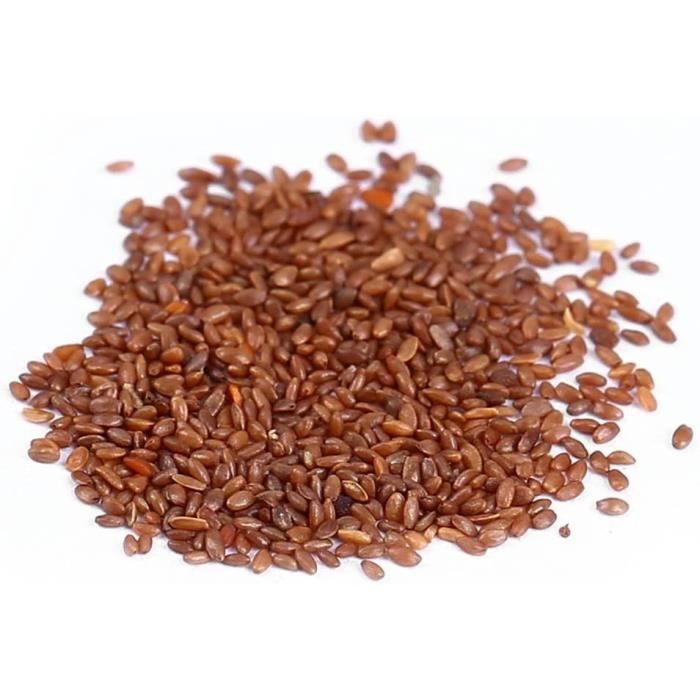 Graines de Jacinthe de Couleur MéLangéE, 100Pcs Hyacinthus Orientalis ...