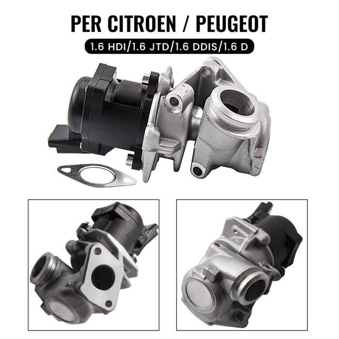 Vanne EGR pour PEUGEOT Citroen Jumpy 207 307 308 407 1.6 HDi 1618NR ...