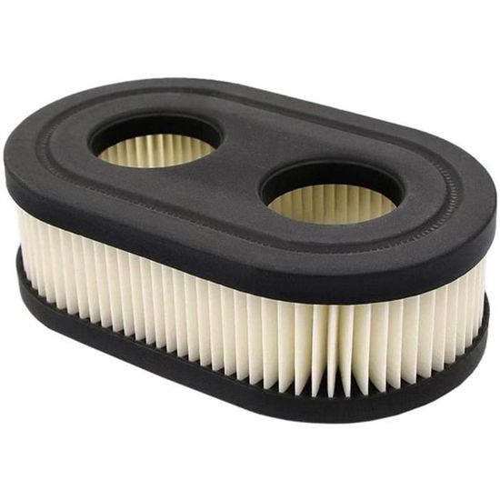 Jwcn Filtre À Air De La Tondeuse À Gazon Pour Briggs Et Stratton 798452 593260 5432 Accessoires ...
