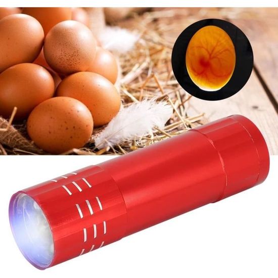 Mire-Œufs Professionnel, Testeur D'Incubateur D'Œufs, Machine À Couver ...