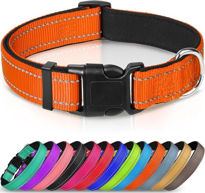 Collier Pour Chien En Nylon Avec Bande Réfléchissante,Collier Rembourré ...