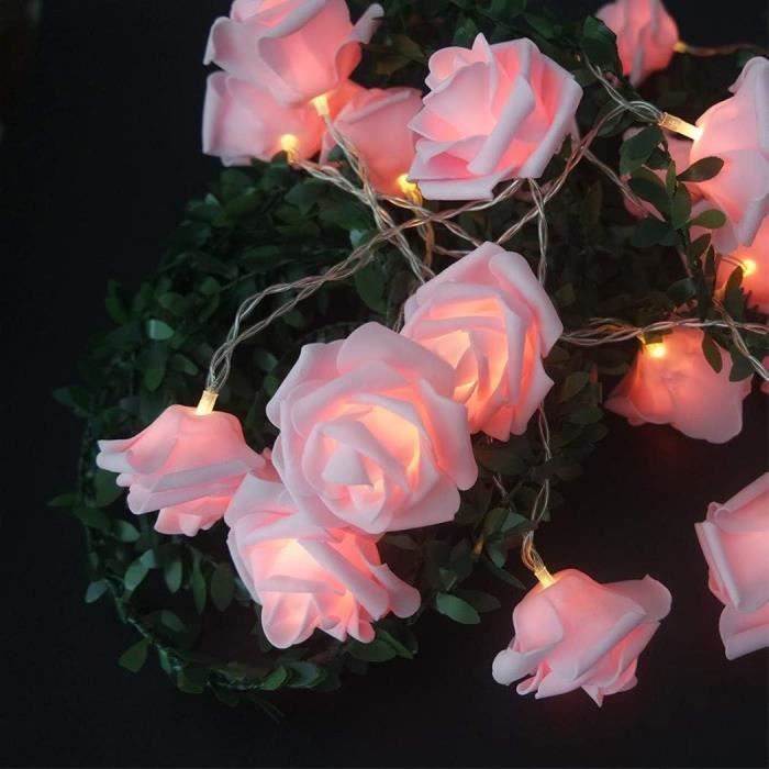 Fantes Guirlande Lumineuse Led À Piles Motif Fleurs Roses Diamètre 6 Cm ...