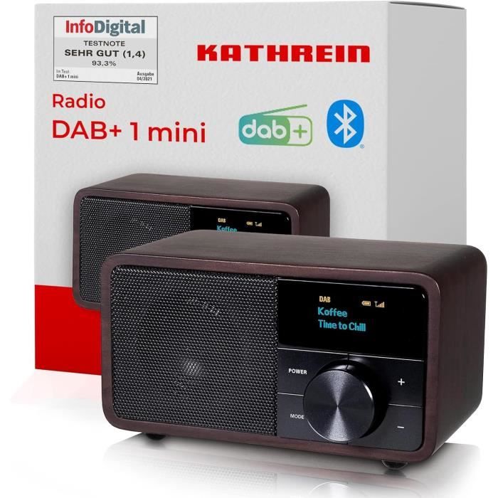 Dab + 1 Mini Radio En Bois Foncé Dab+-Fm Avec Écran Oled Pour Une ...