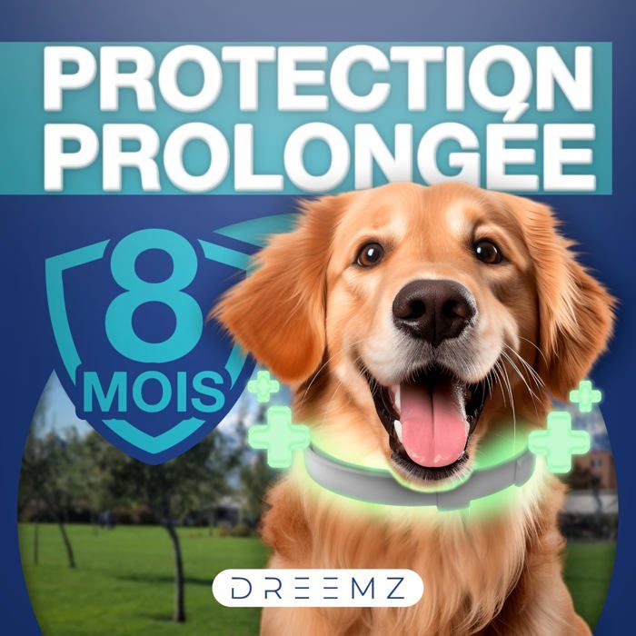 Collier Anti Puces pour Chien - Collier Anti Puce Chien - Anti Tiques ...