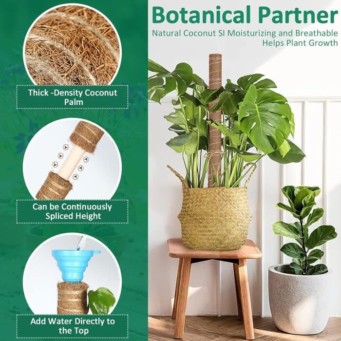 5 Pièces Tuteur Monstera, 42cm Tuteur Coco avec Bande Velcro, Serre ...
