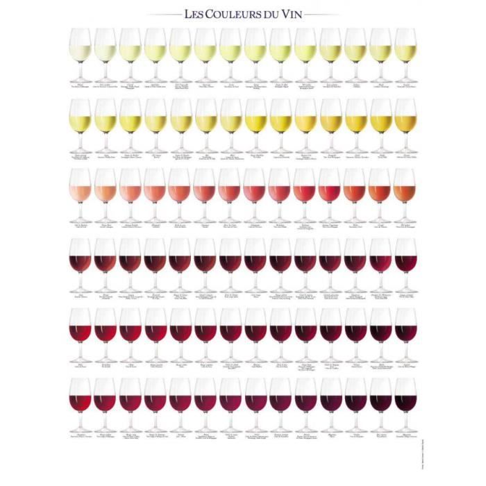 AFFICHE Les Couleurs du Vin - Cdiscount Maison