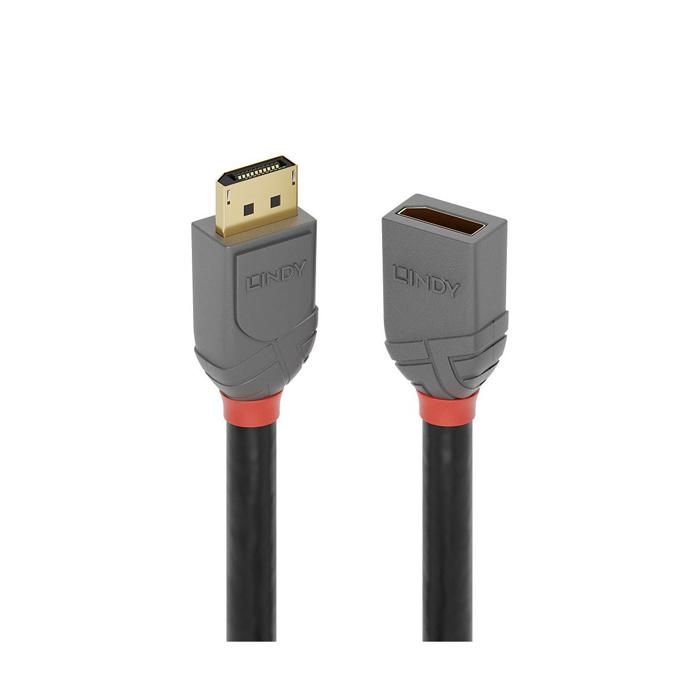 LINDY Rallonge DisplayPort Anthra Line, 3m - 36498 - Cdiscount TV Son Photo