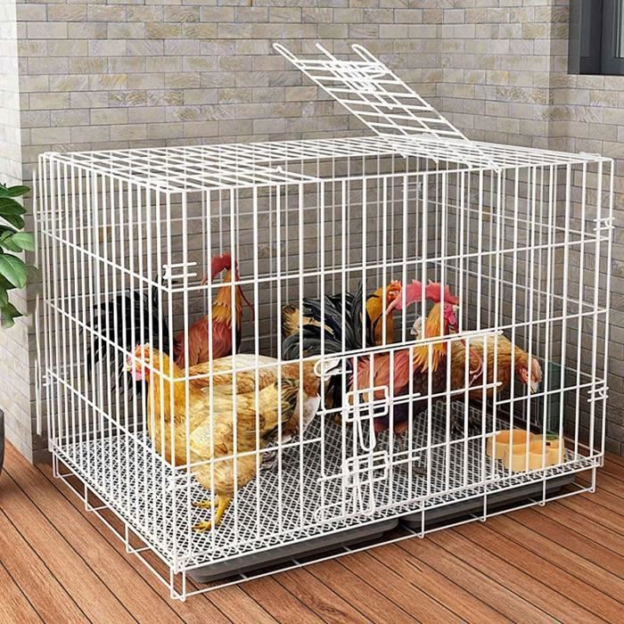 Cage À Volaille avec Plateau, Cage pour Petit Animaux, Poules Canards ...
