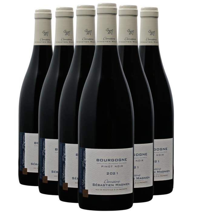 Bourgogne Pinot Noir Rouge 2021 - Lot de 6x75cl - Domaine Sébastien ...