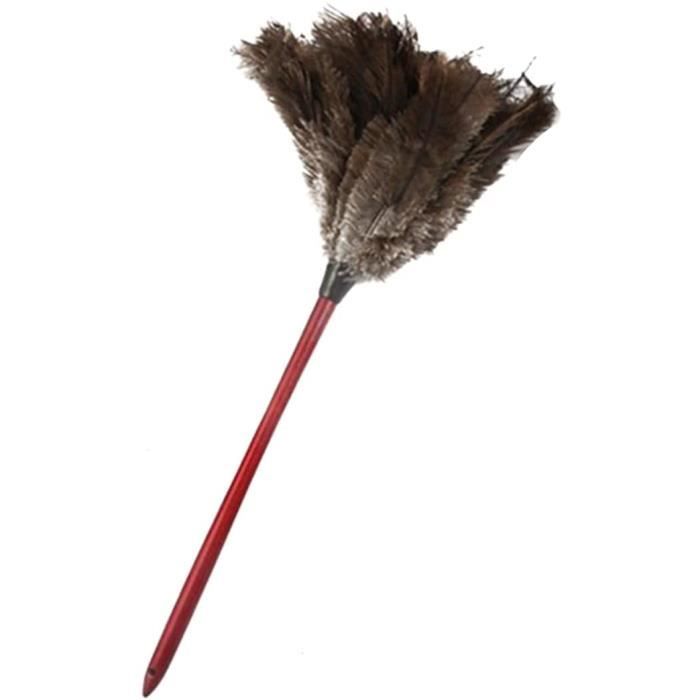 La Plume Brosser éPaissie Nuque la Plume Plumeau DéPoussiéReur Autruche ...