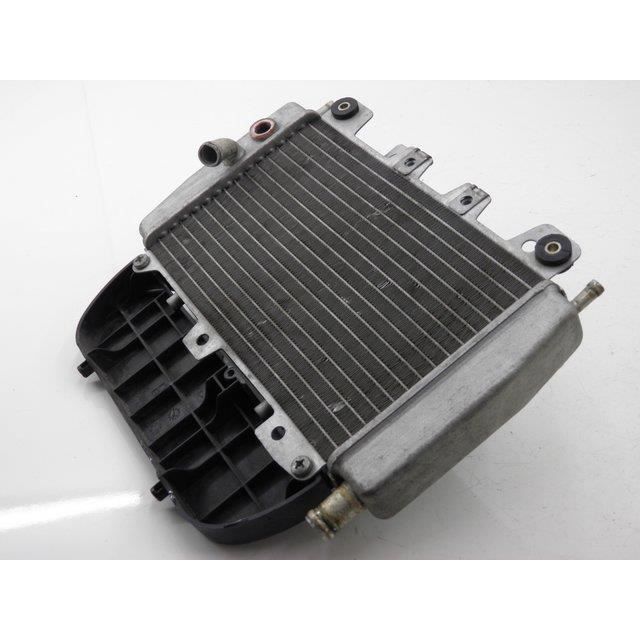 RADIATEUR - SCOOTER PIAGGIO X9 EVOLUTION 125 ( ... - Achat / Vente ...