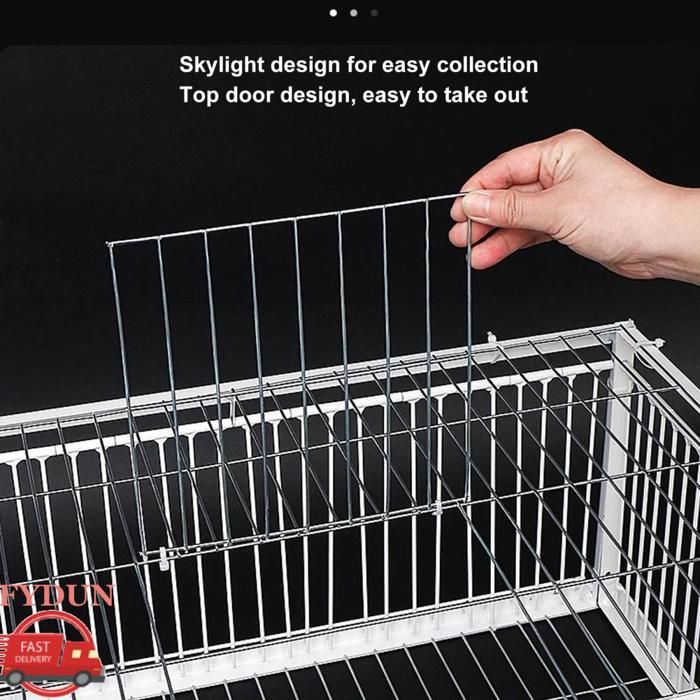 FYDUN Cage de piège à oiseaux de poulet Cage de piège à oiseaux, entrée ...