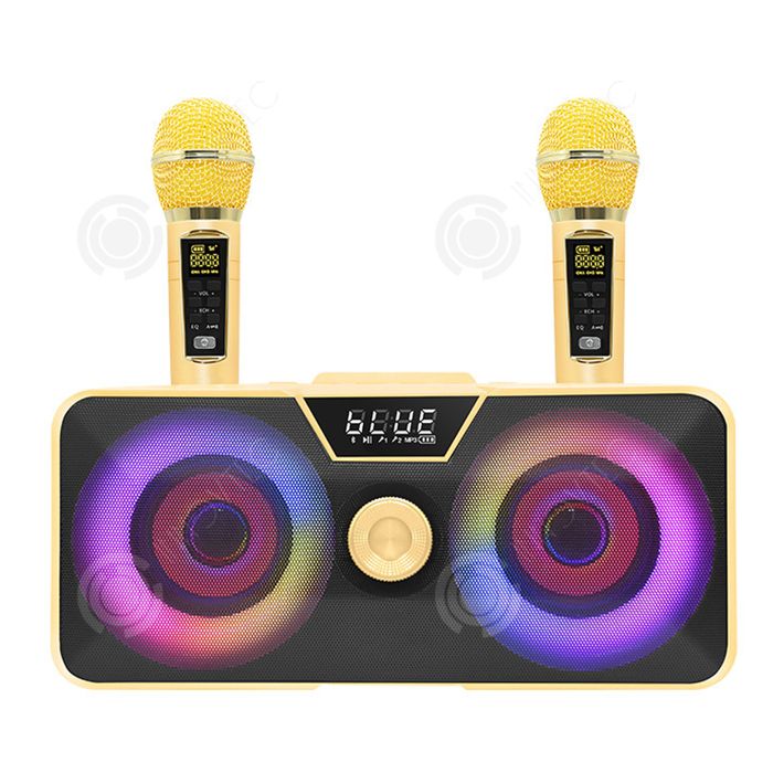 INN Microphone sans fil 2x10w 32x18x19cm 7,4 V 2000mAh Amplification Et ...